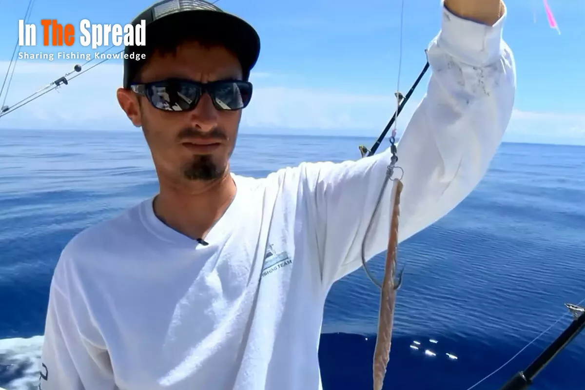 Planers Catch Fish | In The Spread