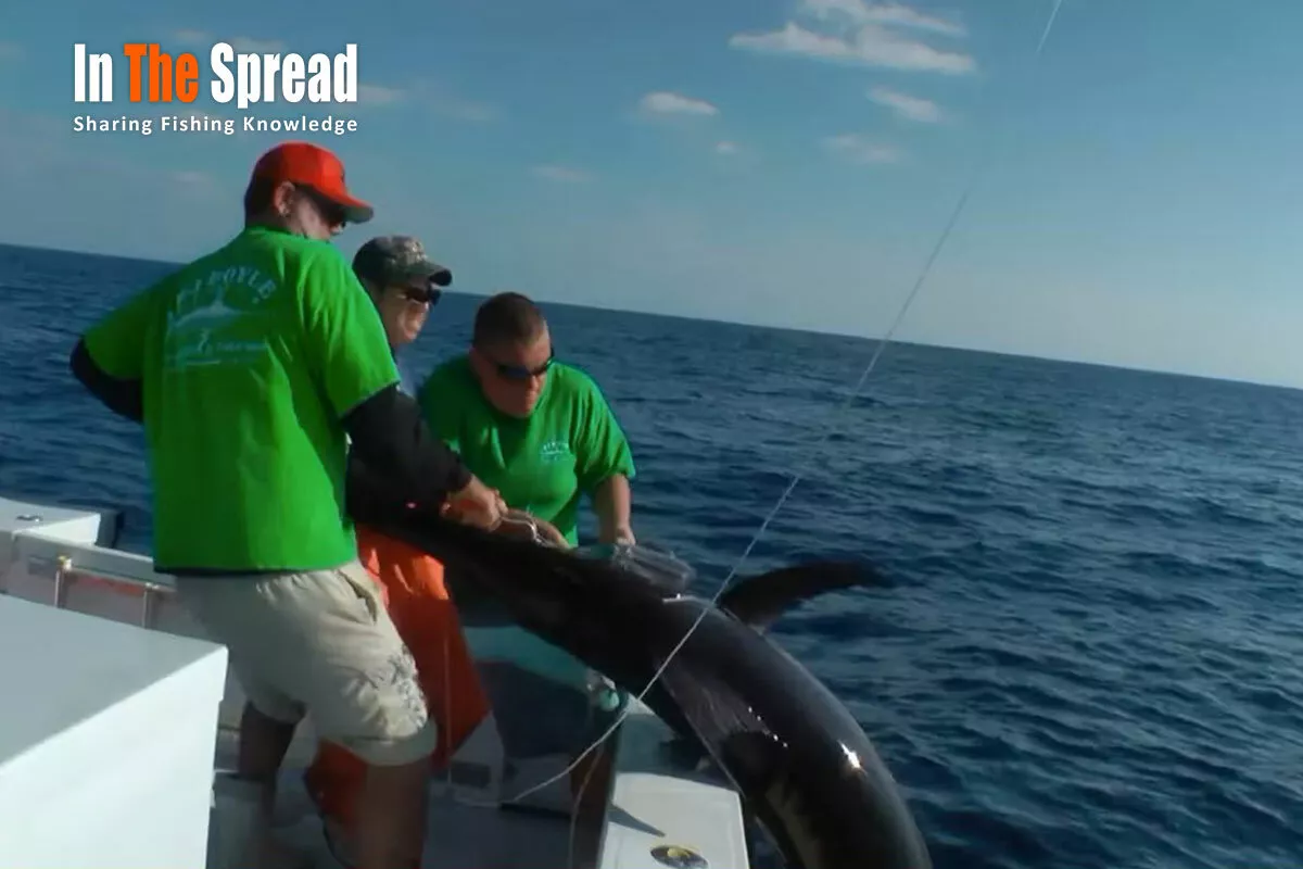 How to Catch Swordfish During the Day | Expert Tactics | In The Spread