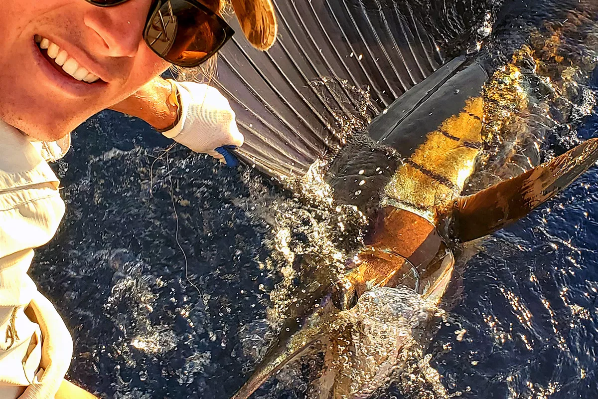 Florida Saltwater Fish | In The Spread