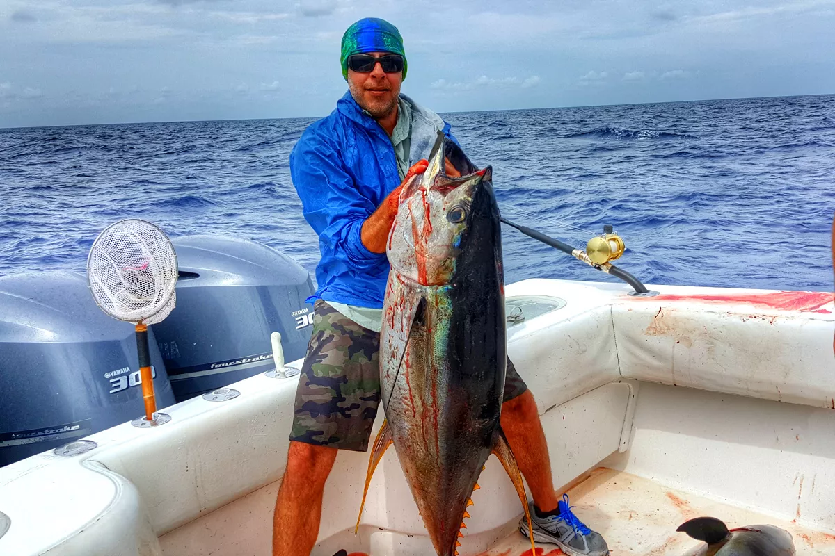 Yellowfin Tuna - Offshore Fishing Tips | In The Spread
