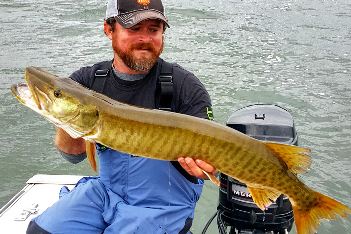 Musky Hunting | In The Spread