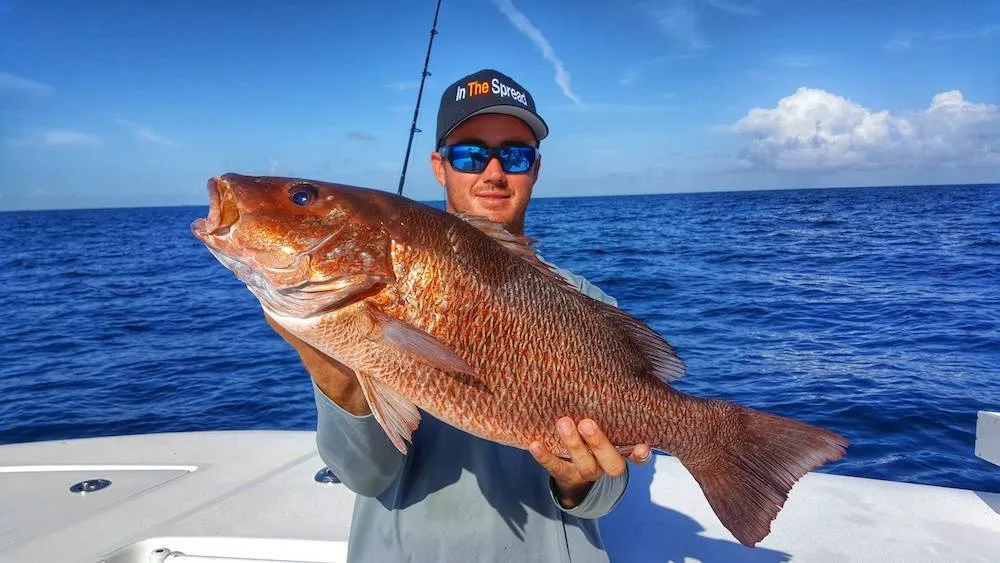 Mangrove Snapper Fishing: A State-by-State Guide to Bag Limits and Gear ...