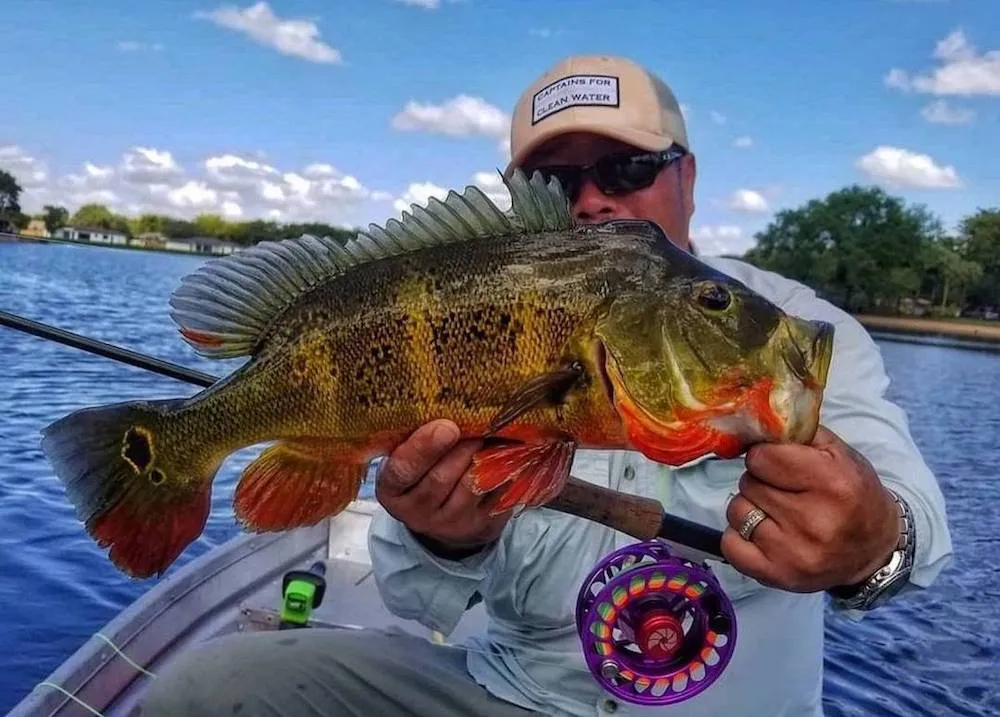 A Guide to Freshwater Fishing in Florida | In The Spread