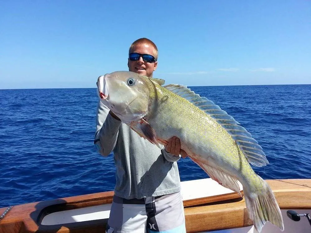 Golden Tilefish - Biology of a Deep Water Delicacy | In The Spread
