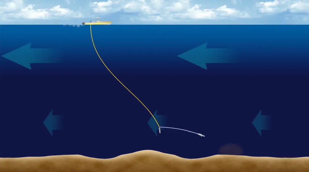 Deep Sea Fishing vs. Offshore Fishing: What's the Difference? | In The ...