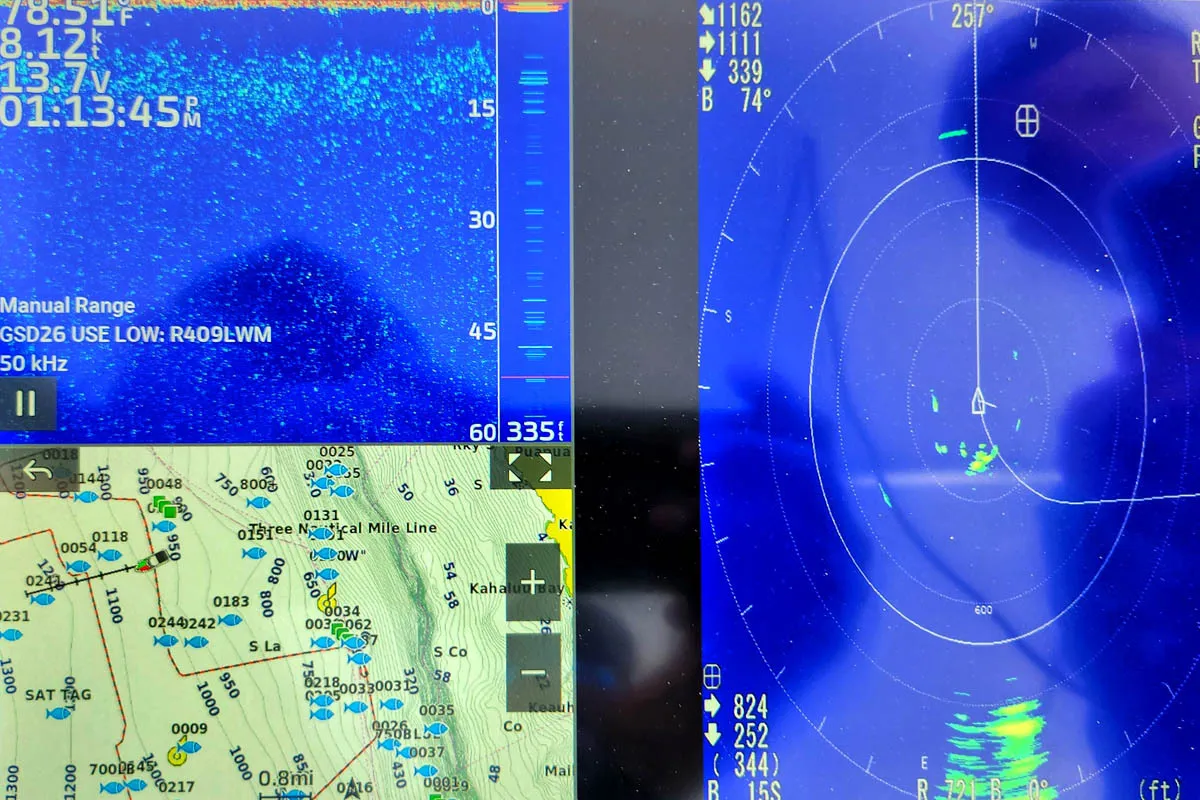 Satellite Fishing Maps - What to Know Before You Go | In The Spread