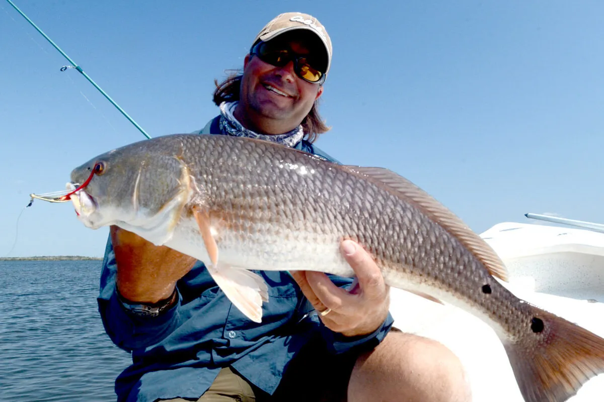 Redfish Regulations by State | In The Spread