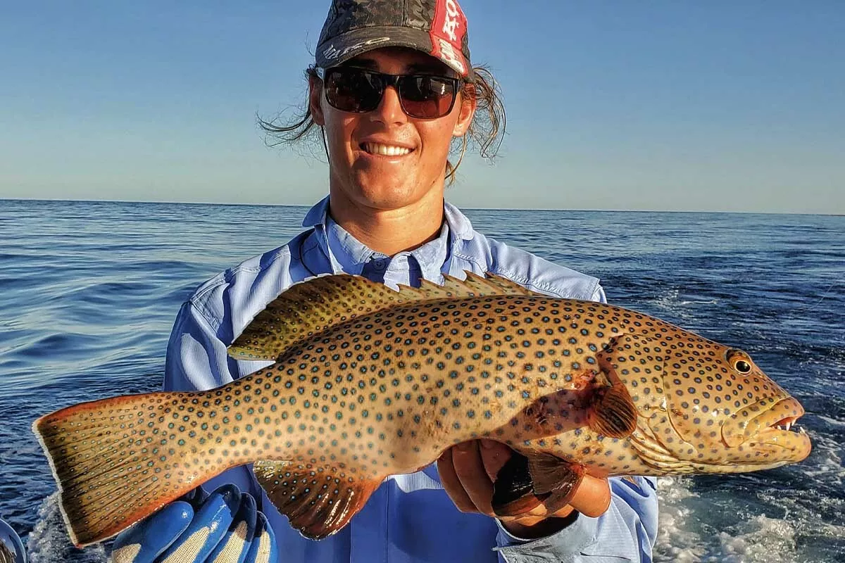 Coral Trout - Profile in Reef Fishing | In The Spread