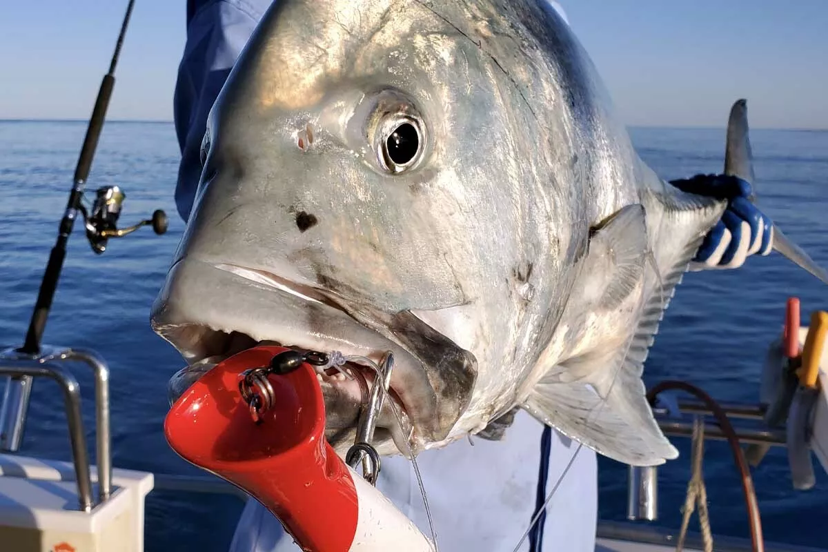 Single vs. Treble Hooks for Giant Trevally Fishing | In The Spread