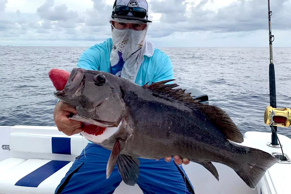 Catch Grouper in Florida: Locations, Rigs and Seasons | In The Spread