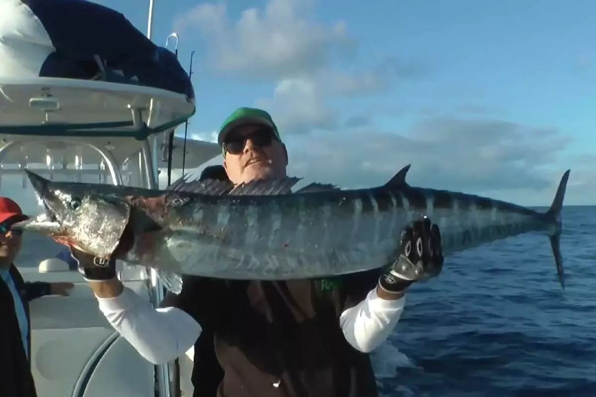 Florida Saltwater Fish | In The Spread