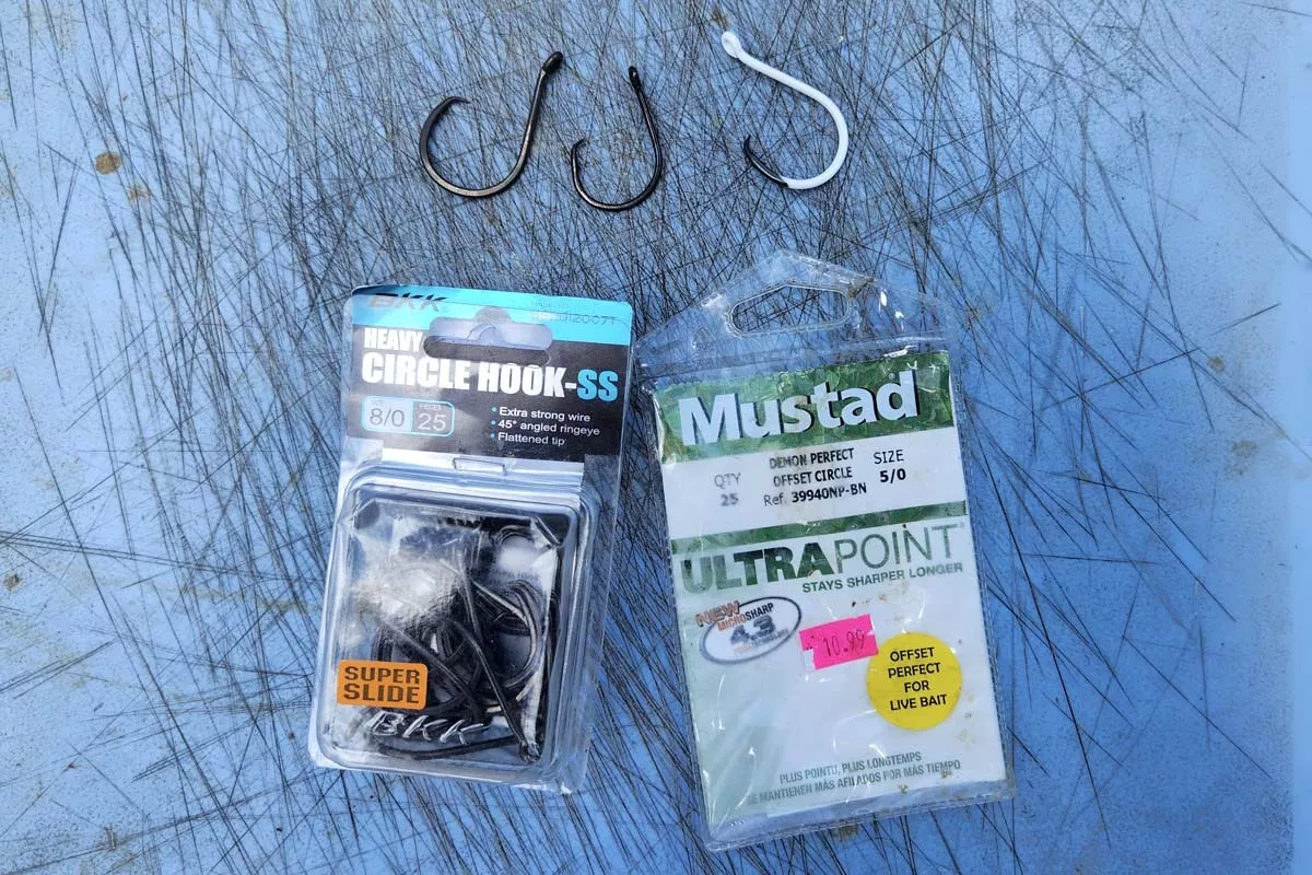 Mutton Snapper Fishing - Tips, Techniques, and Strategies | In The Spread