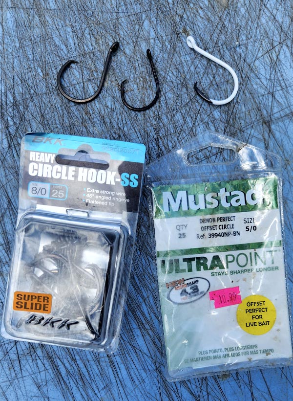 Mutton Snapper: Unveiling the Best Hooks and Why They Matter | In The ...