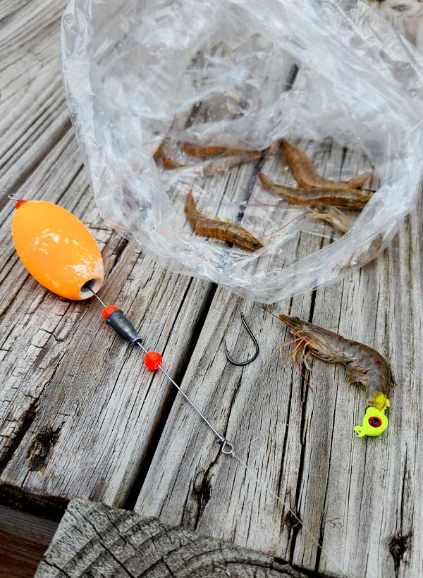 How to Hook Live Shrimp with William Toney | In The Spread