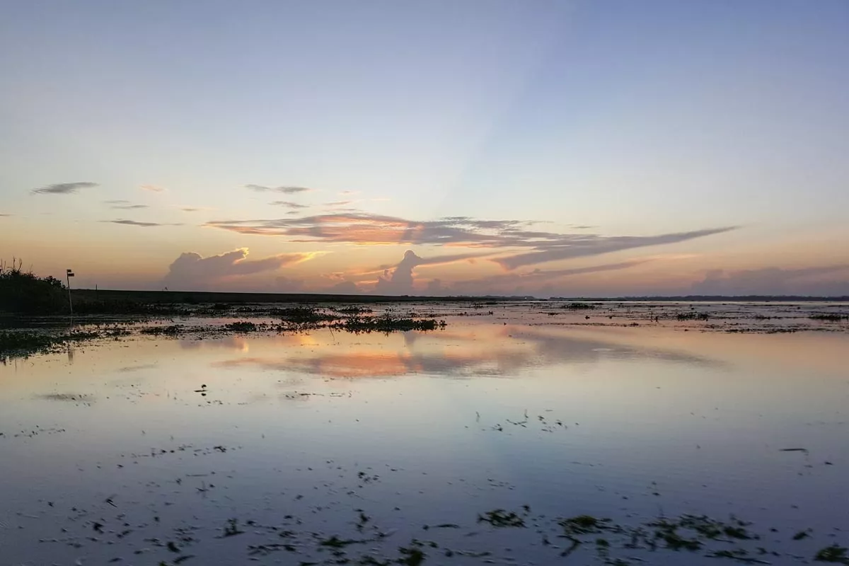 Weather Patterns and Fishing: How Barometric Pressure Affects Fish ...