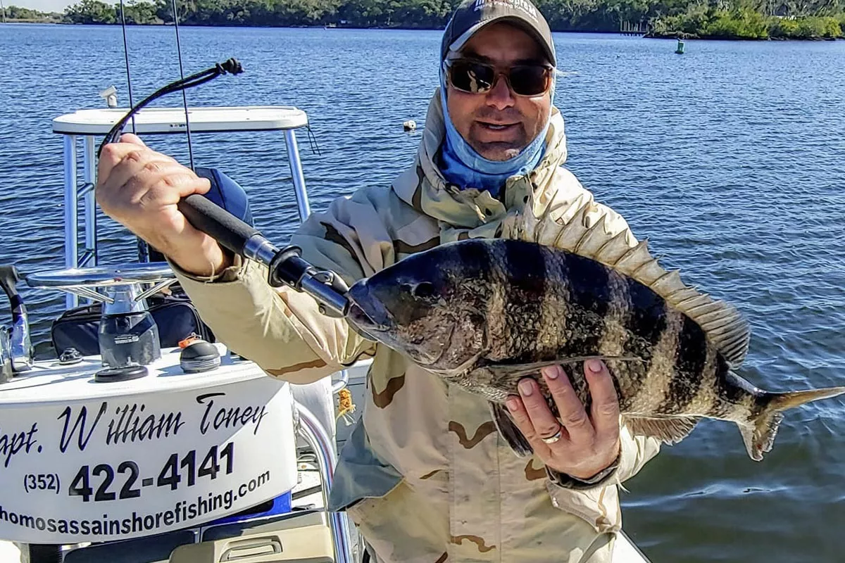 Sheepshead Fishing: Best Baits, Rigs, and Where to Fish | In The Spread