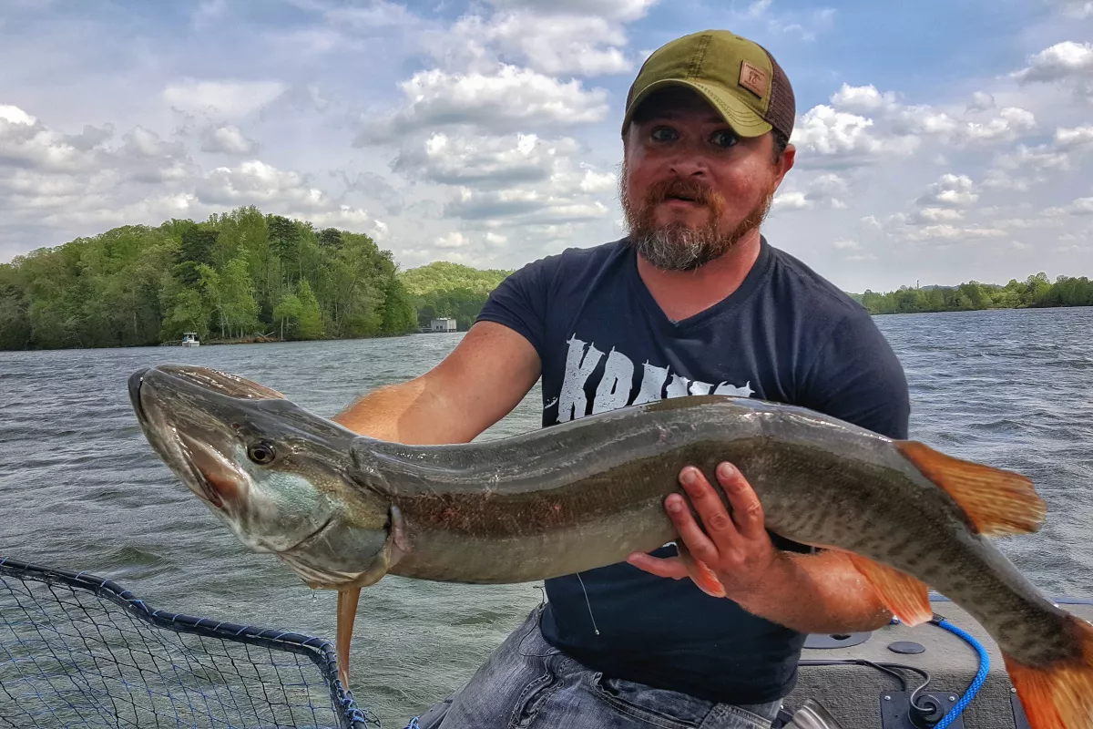 Trolling for Muskie | In The Spread