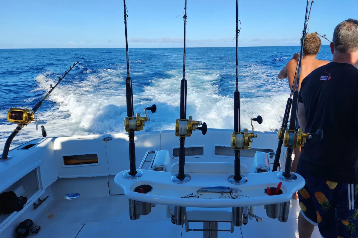 Understanding Fishing Rod Actions: How to Choose the Perfect Rod | In ...