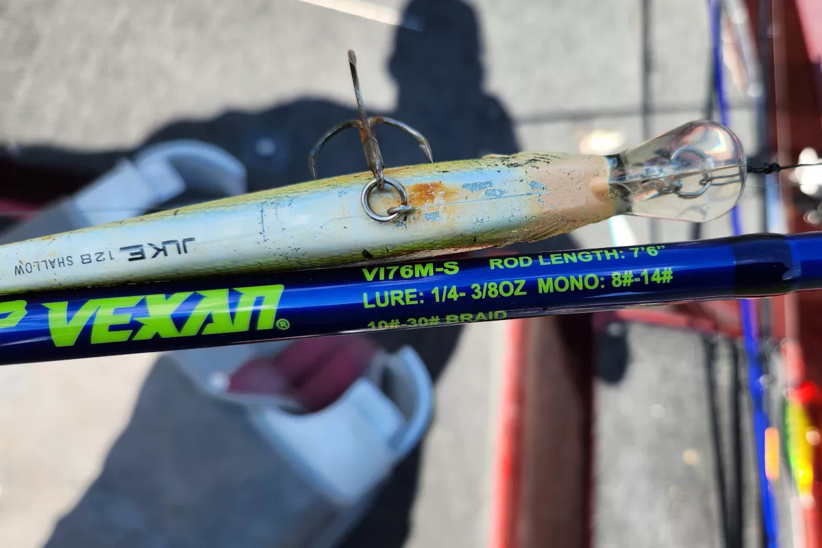 Understanding Fishing Rod Actions: How to Choose the Perfect Rod | In ...