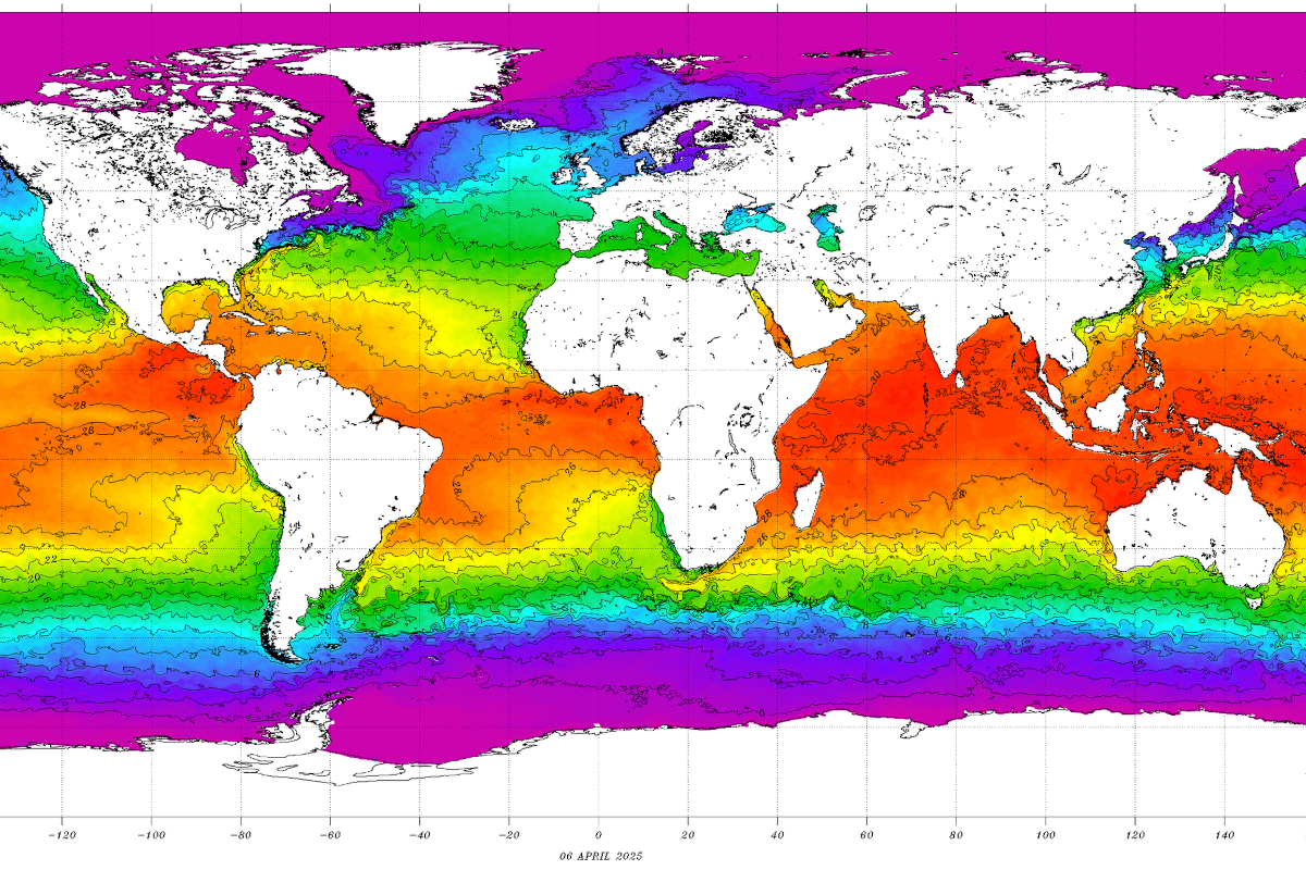 How to Read SST Charts for Fishing | In The Spread