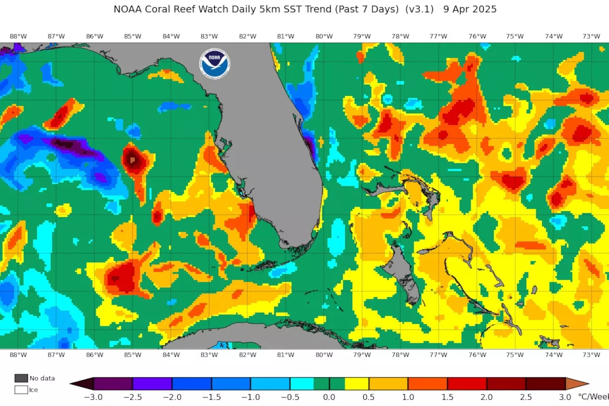 How to Read SST Charts for Fishing | In The Spread