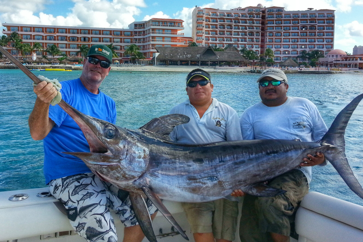 Ultimate Swordfish Fishing Videos: Master Deep Sea Techniques | In The ...
