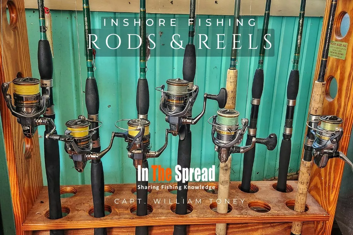 Snook Fishing: Baits, Tackle, Seasons, and Where to Fish | In The Spread