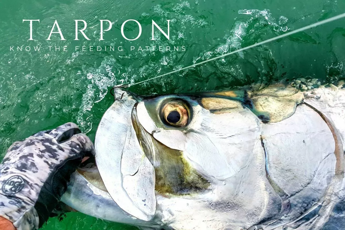 Incoming vs Outgoing Tides for Saltwater Fishing | In The Spread