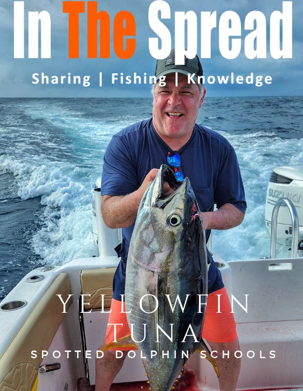Yellowfin Tuna on Spotted Dolphin Schools | In The Spread