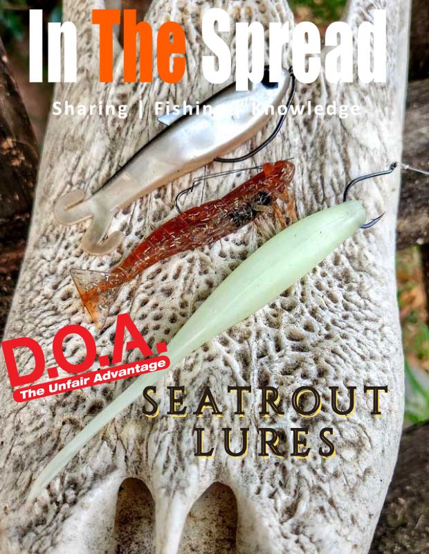 Speckled Seatrout: DOA Lure Selection | In The Spread